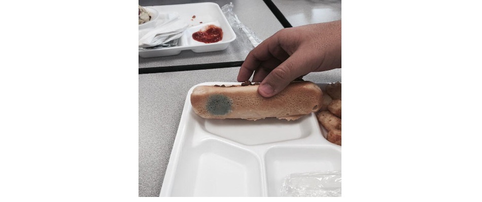 IHTM ™ ® - The skimpy the moldy the mysterious and the gross